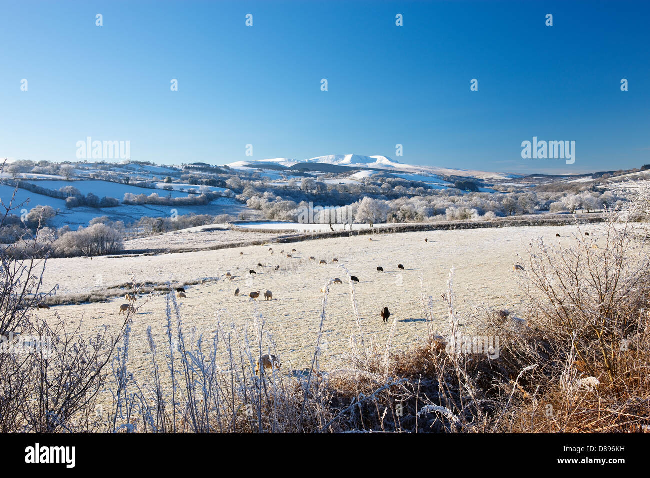 Black Mountain Brecon Beacons Powys Wales in winter Stock Photo - Alamy