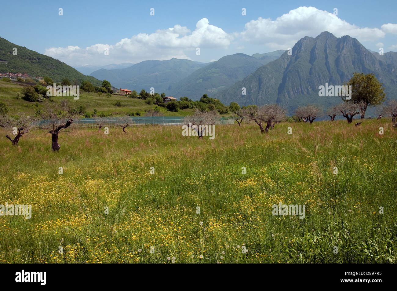Solto collina hi-res stock photography and images - Alamy
