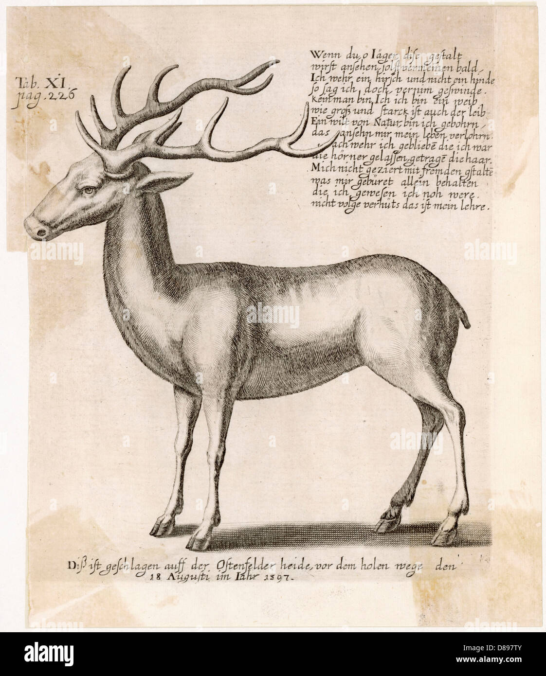 1597 hi-res stock photography and images - Alamy