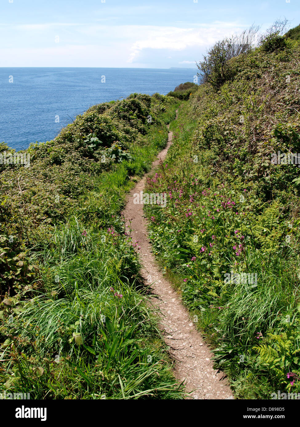 Cornwall coast footpath hi-res stock photography and images - Alamy