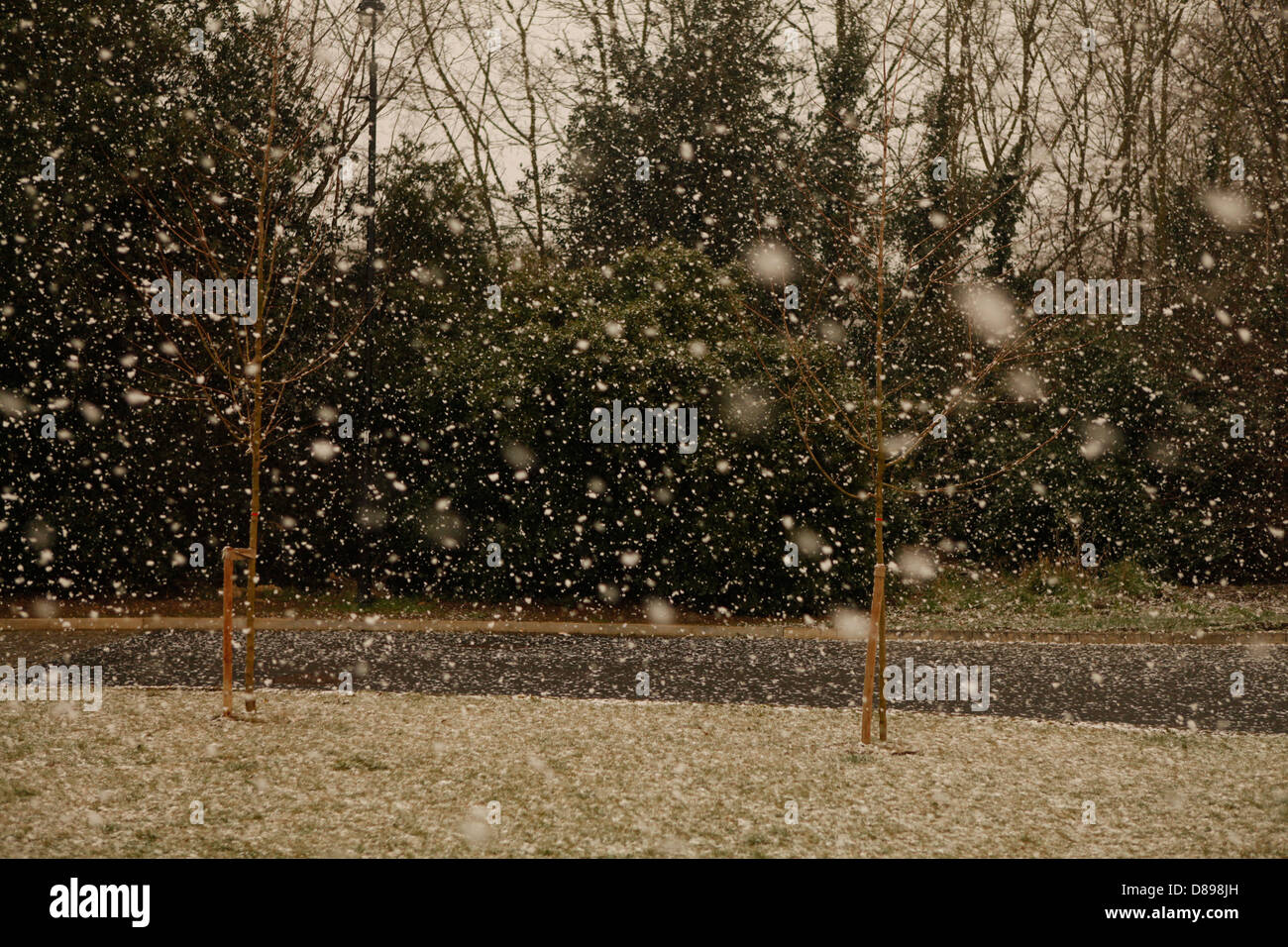 A late-winter snow flurry seen from a window in South-Eastern England ...
