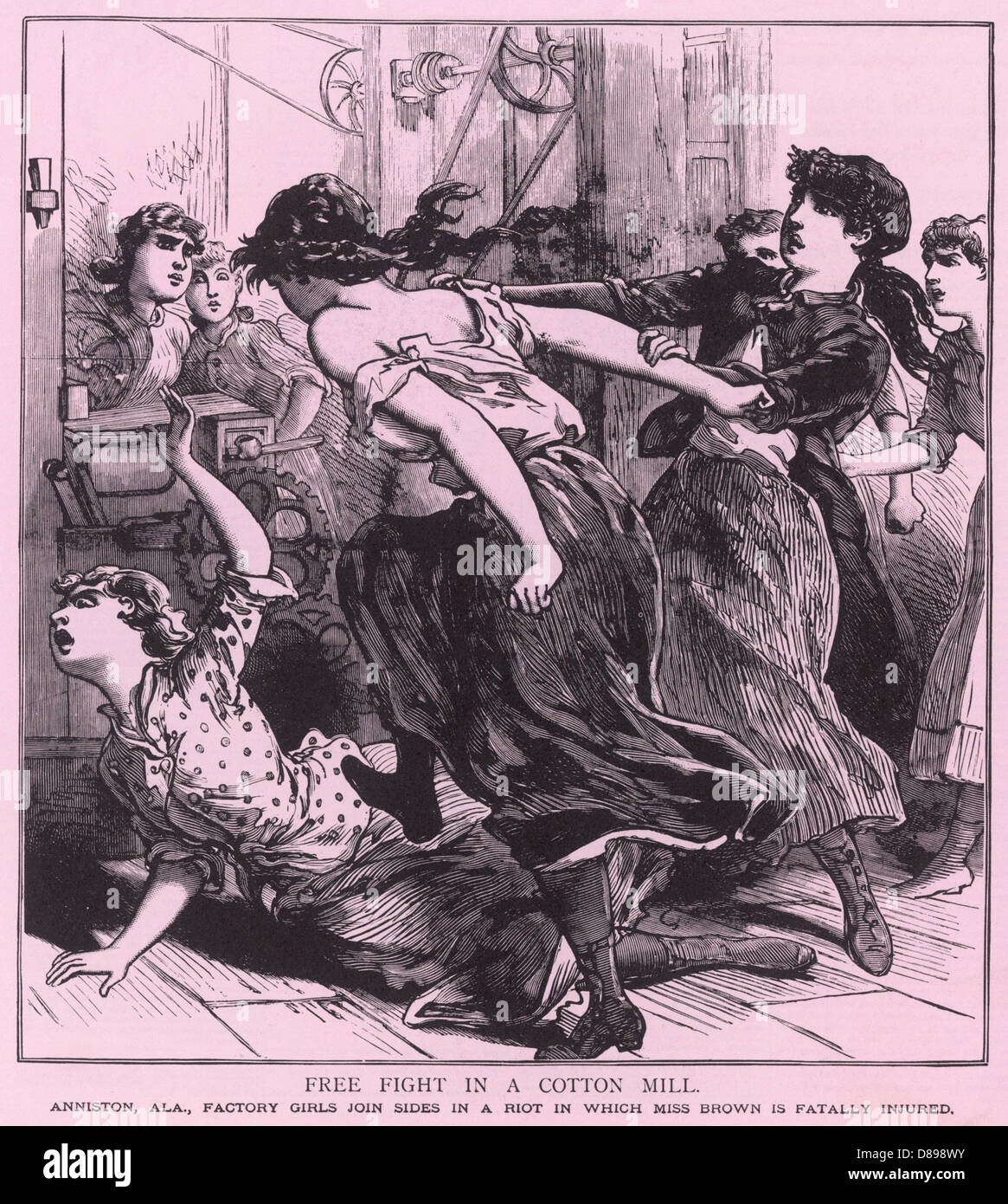 Women cat fight hi-res stock photography and images - Alamy