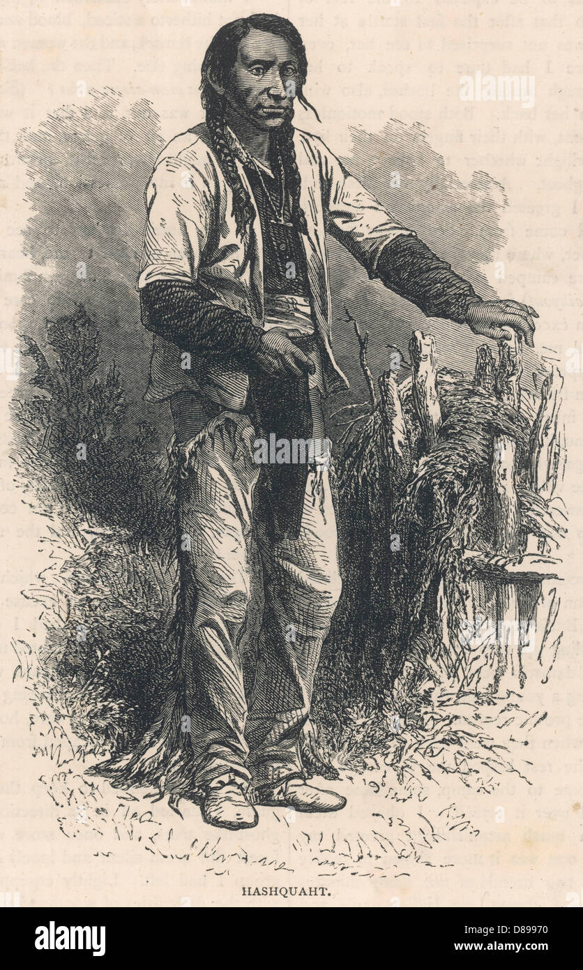 RACIAL/SHOSHONE MAN 1860 Stock Photo - Alamy