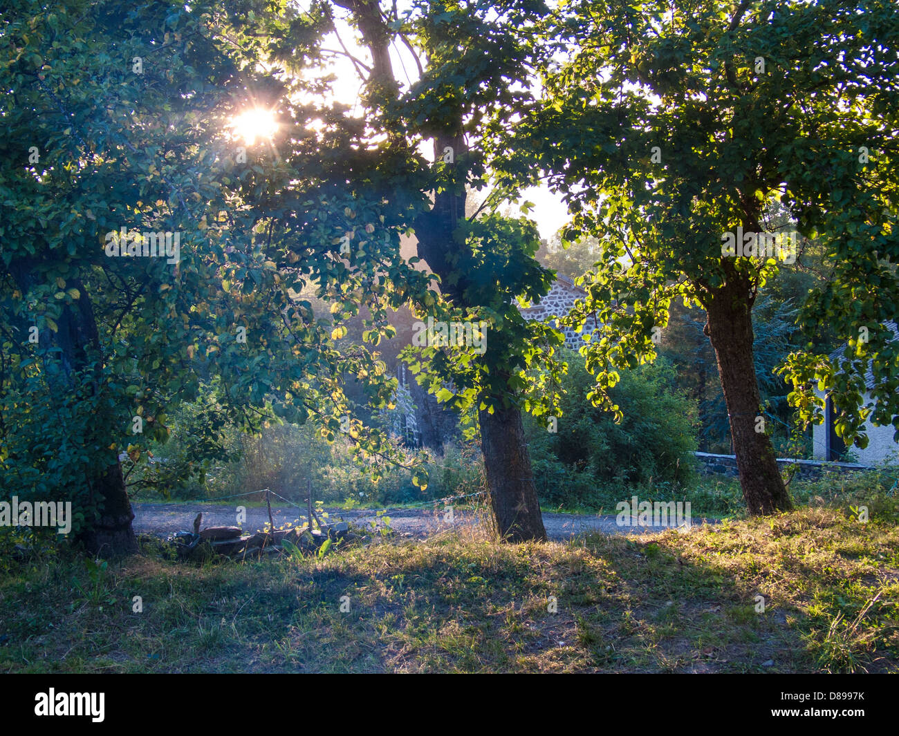Light ray france hi-res stock photography and images - Alamy