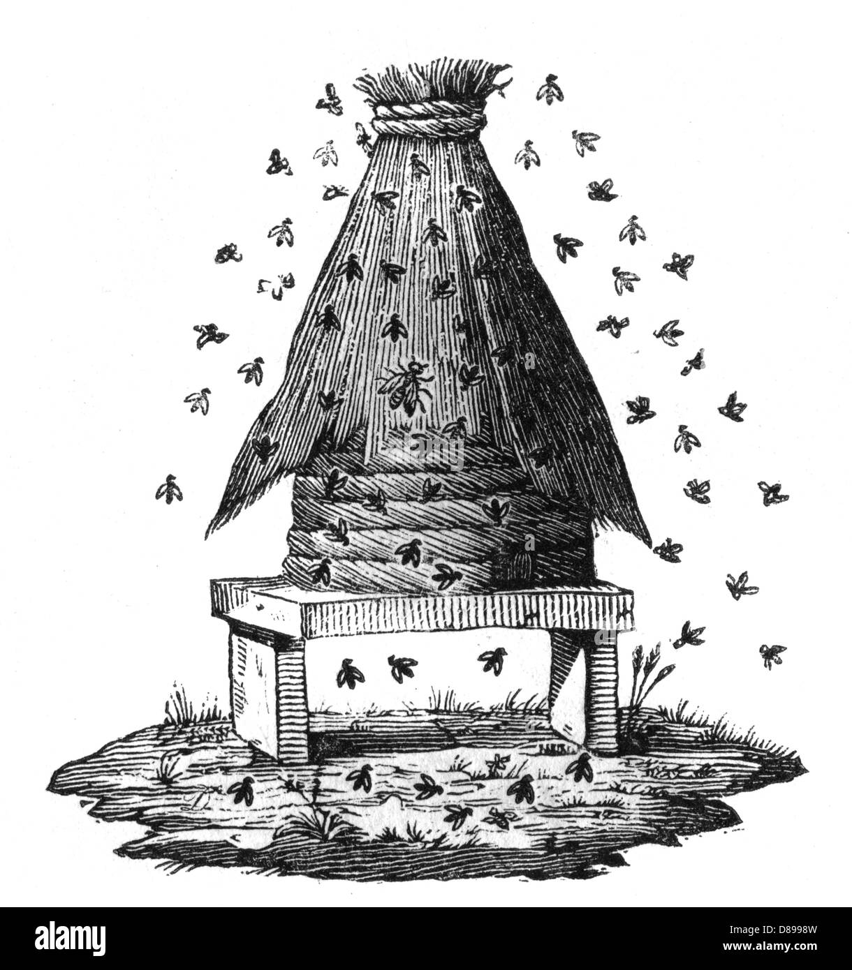 BEEHIVE AND BEES Stock Photo - Alamy
