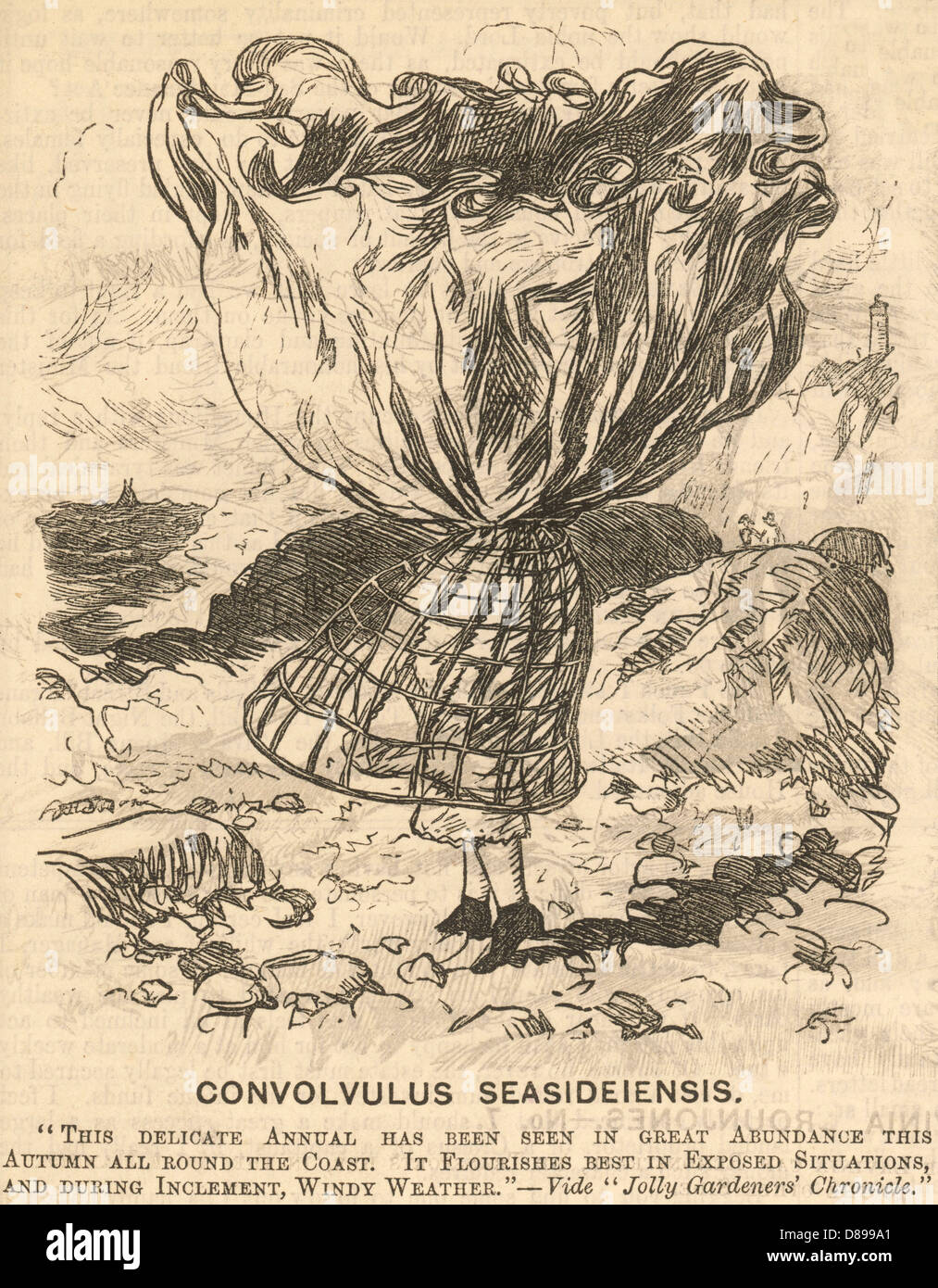 Crinoline and wind hi-res stock photography and images - Alamy