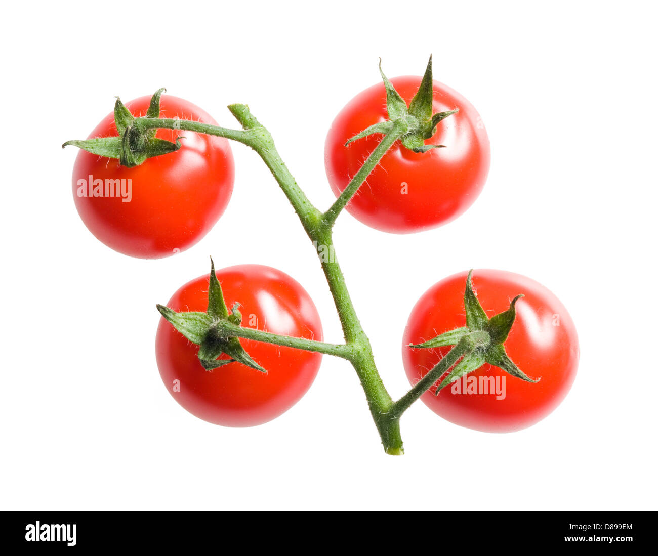 Round tomatoes hi-res stock photography and images - Alamy