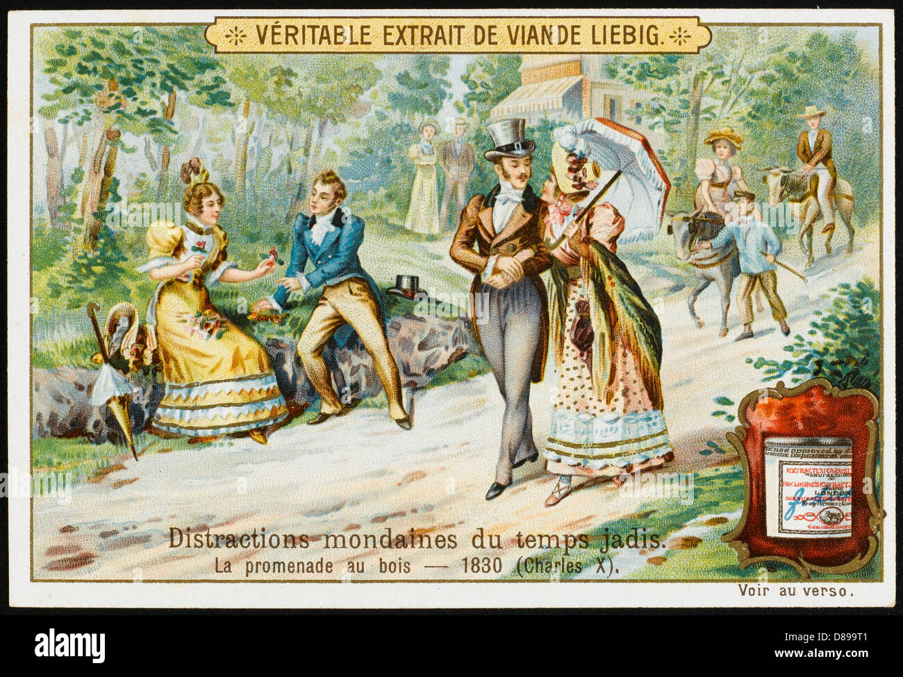 FRENCH WALK IN WOODS Stock Photo - Alamy