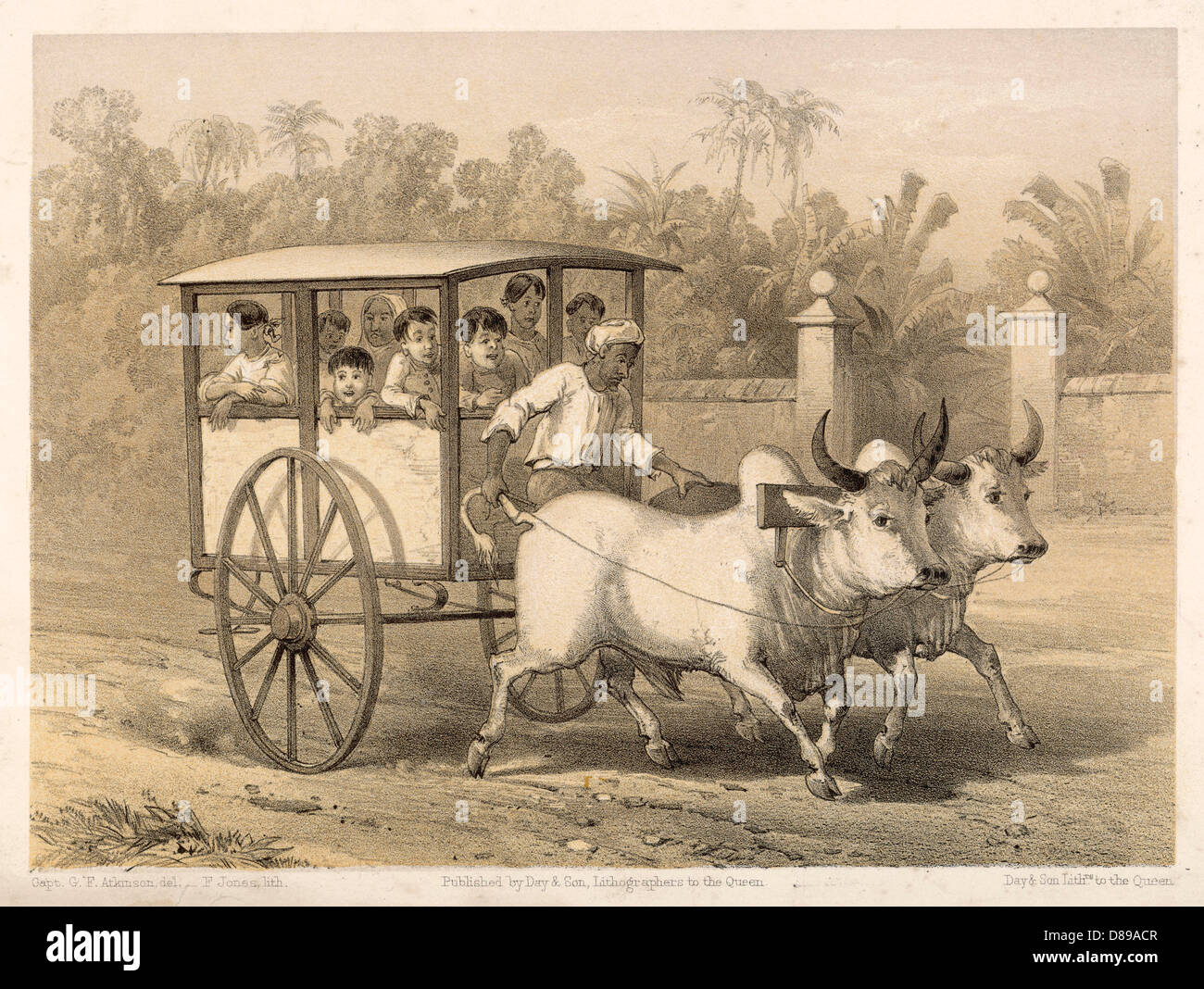 Bullock cart transport hi-res stock photography and images - Alamy