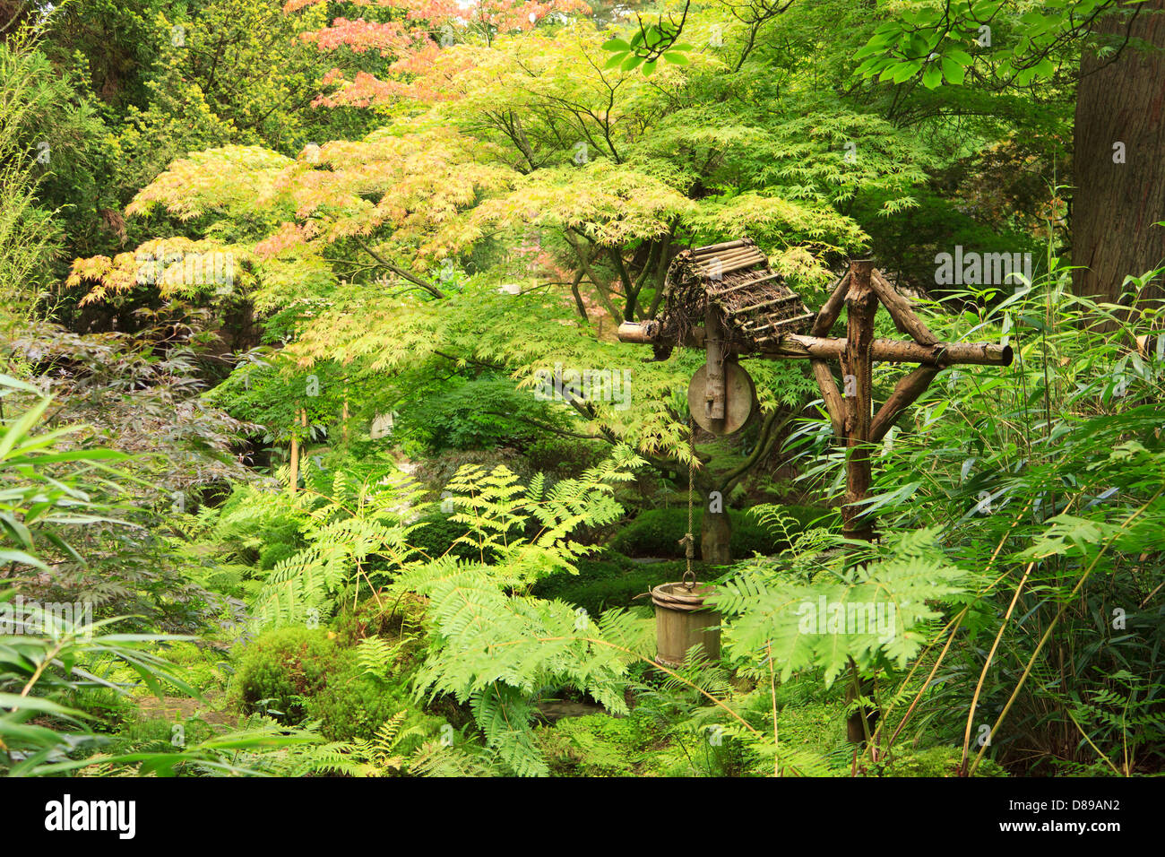 A Japanese garden with a traditional well bucket in focus at Tatton ...