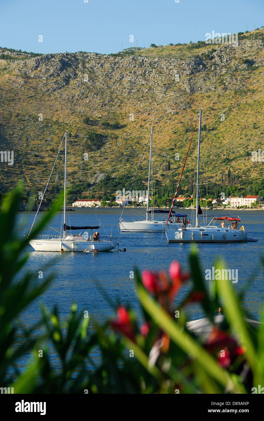 CROATIA. Boats in Zaton Bay near Dubrovnik, with the village of Zaton ...