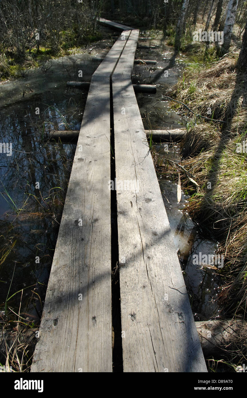 Alam Pedja Nature Reserve High Resolution Stock Photography and Images ...