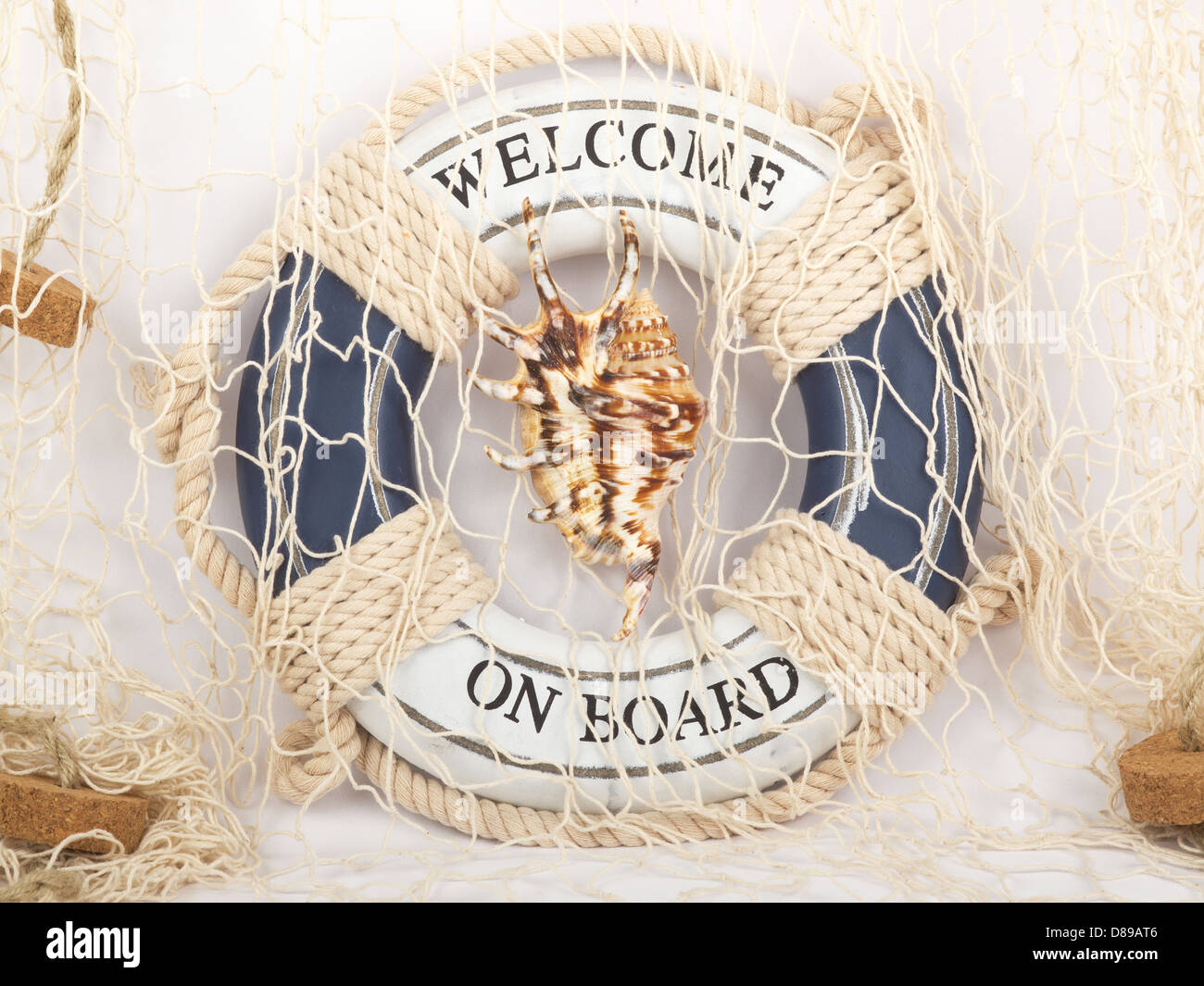 safe belt and shell in the fishing net Stock Photo - Alamy