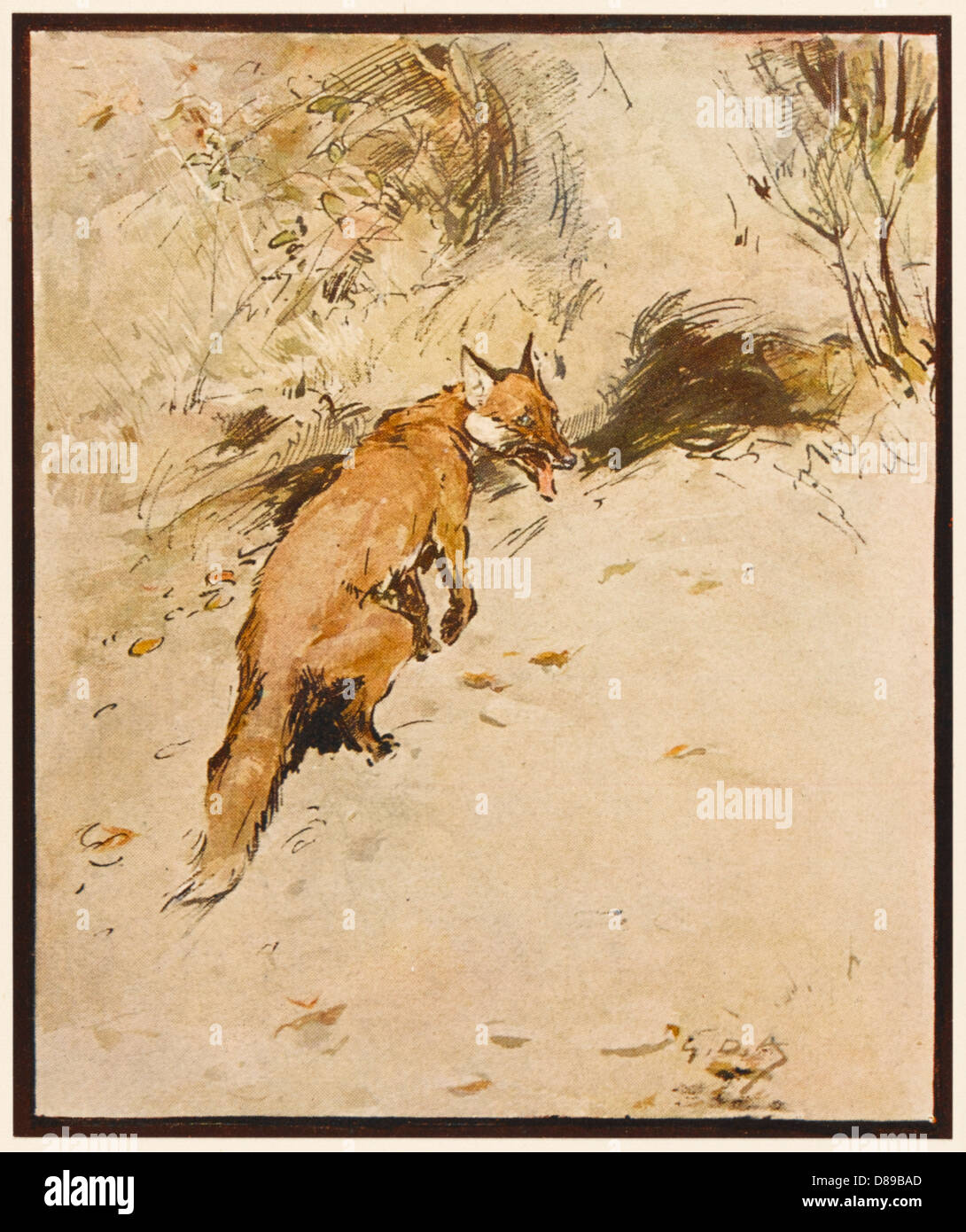 HUNTING ALPHABET - F Stock Photo - Alamy