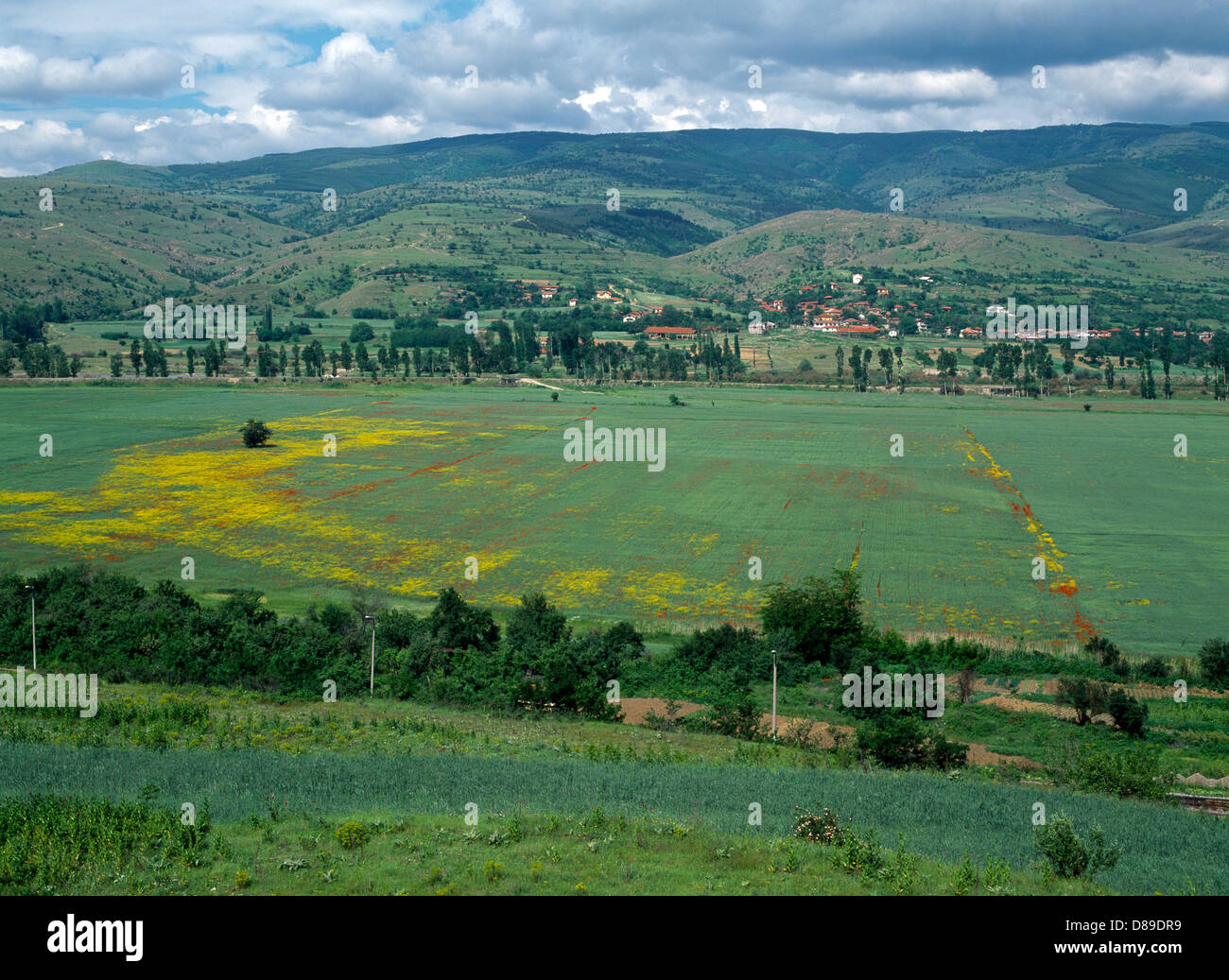 South West Bulgaria Arable Farming Agricultural Valley Stock Photo - Alamy