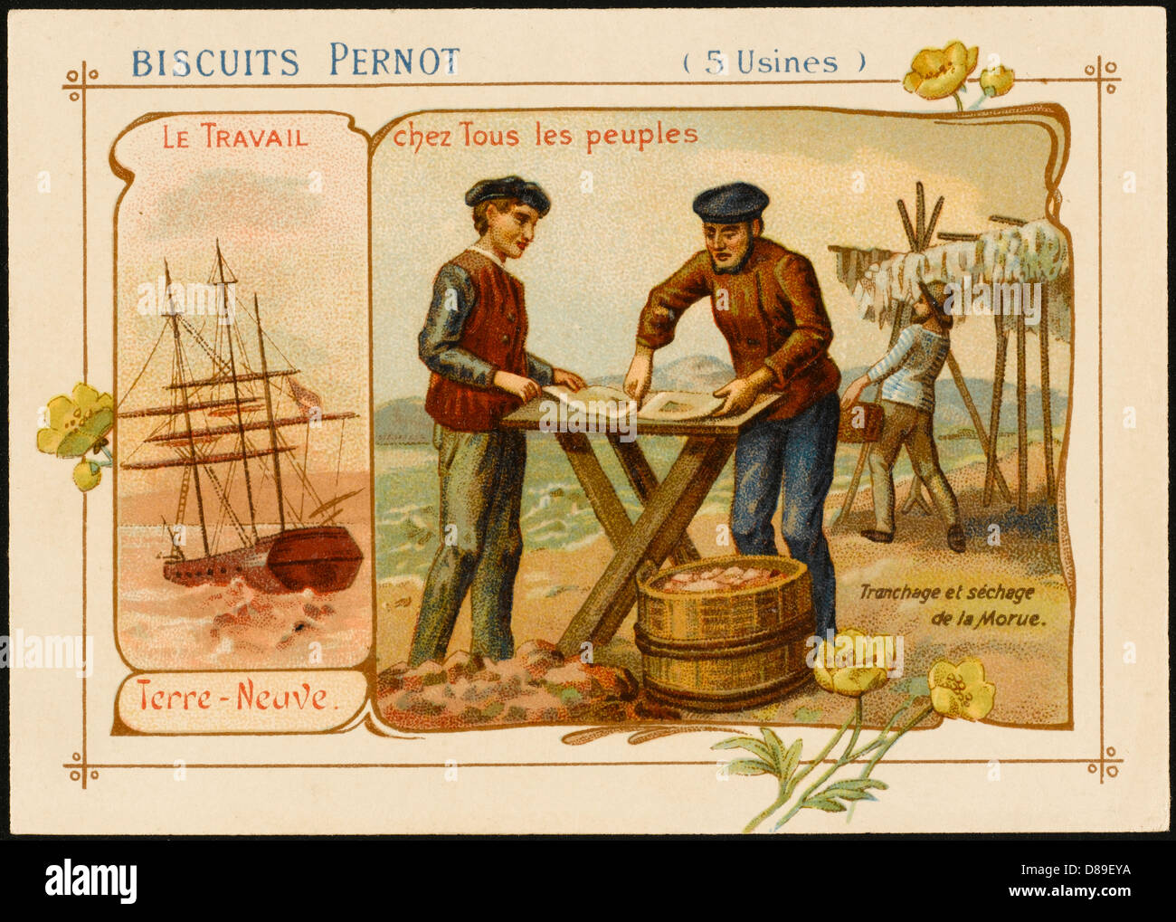 Newfoundland cod fish hi-res stock photography and images - Alamy