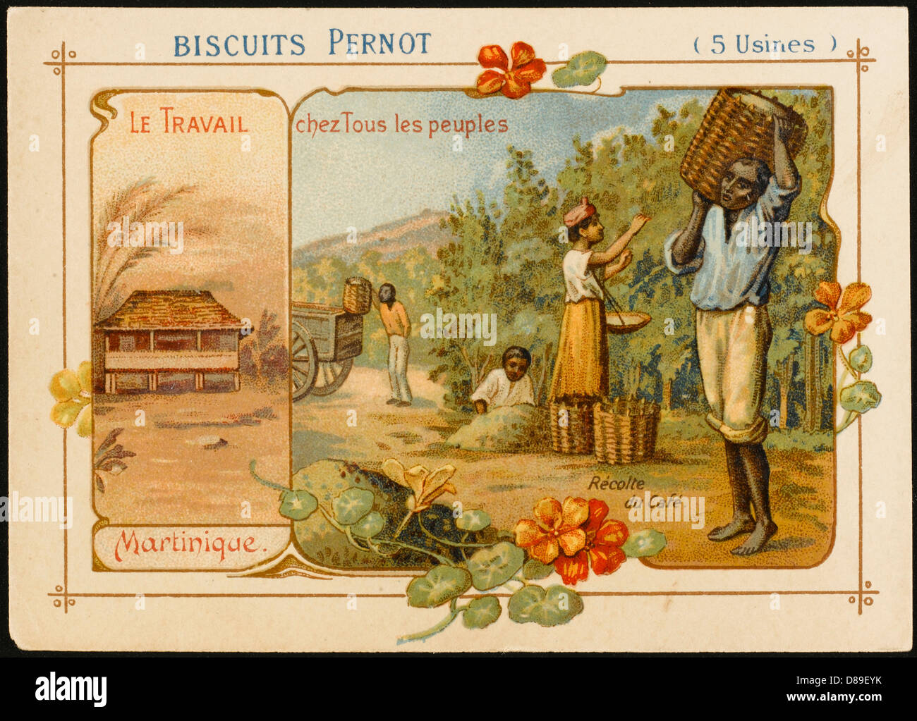 Martinique industry hi-res stock photography and images - Alamy