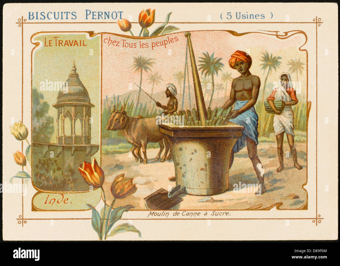 India - Grinding Sugar Stock Photo - Alamy