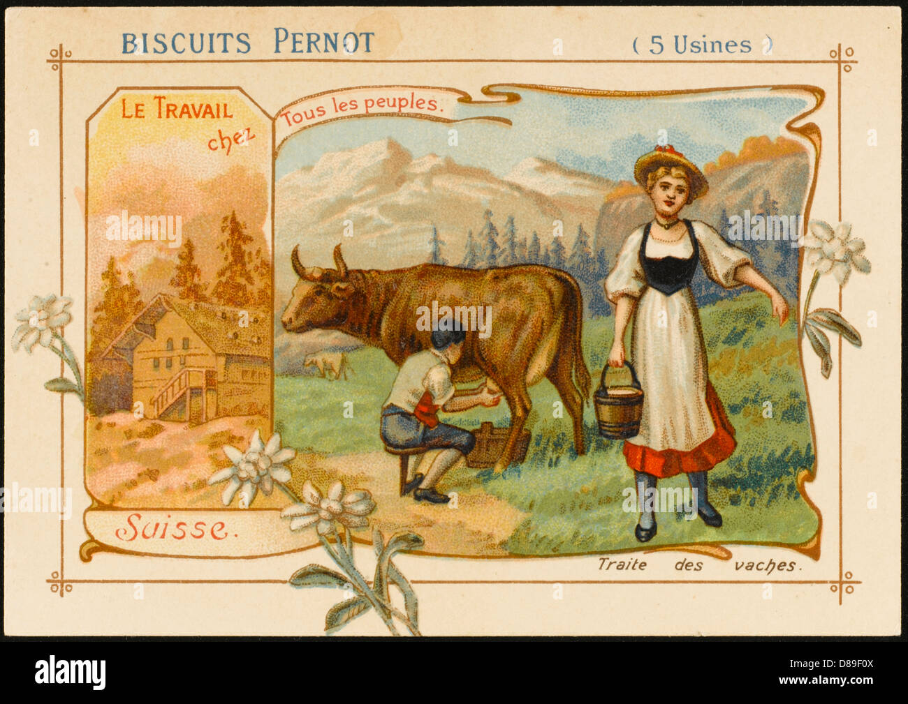 SWISS DAIRY FARM Stock Photo - Alamy