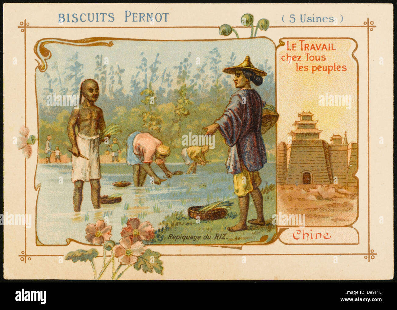 China - Rice Planting Stock Photo - Alamy