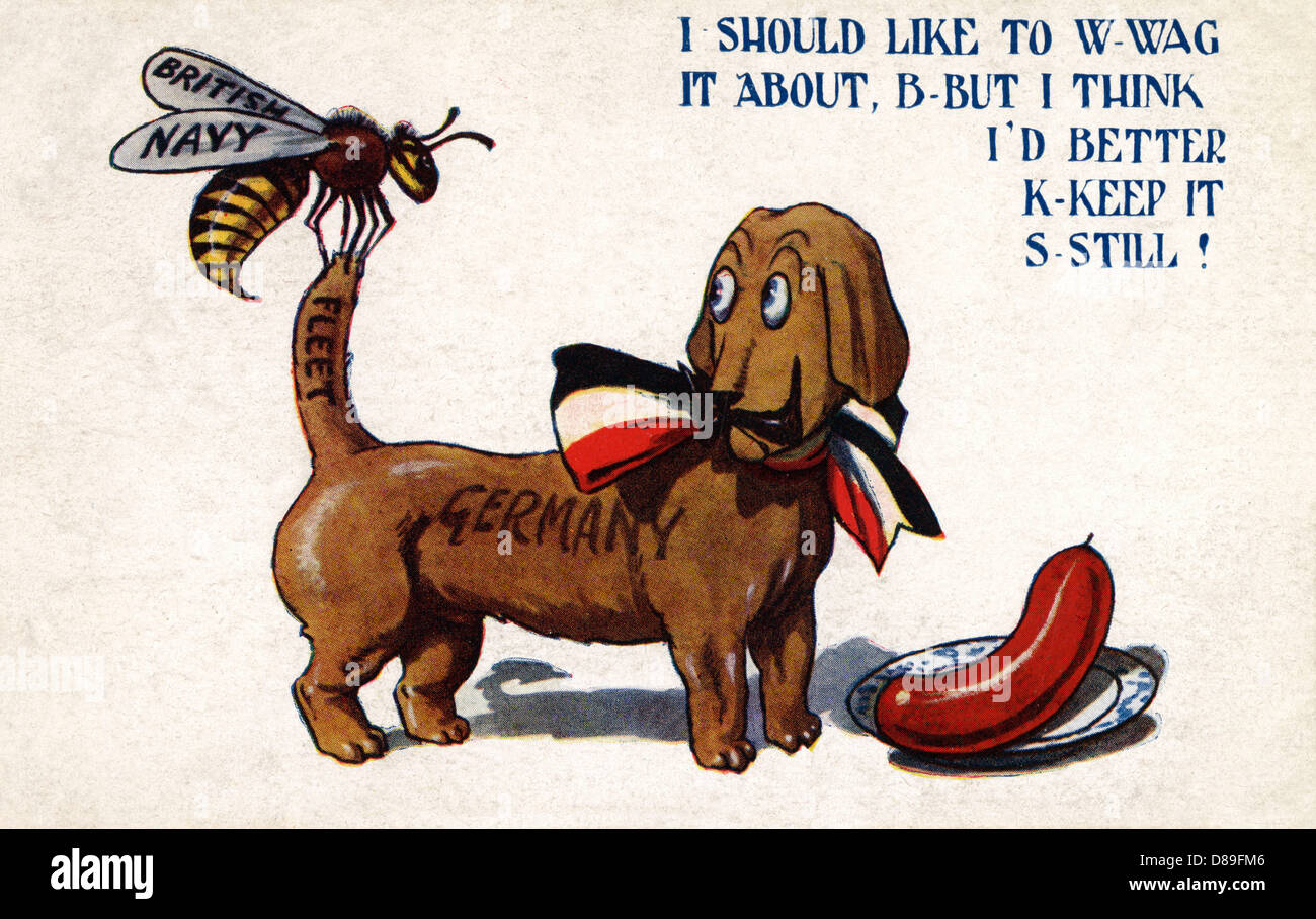 DOG AND BRITISH WASP Stock Photo - Alamy