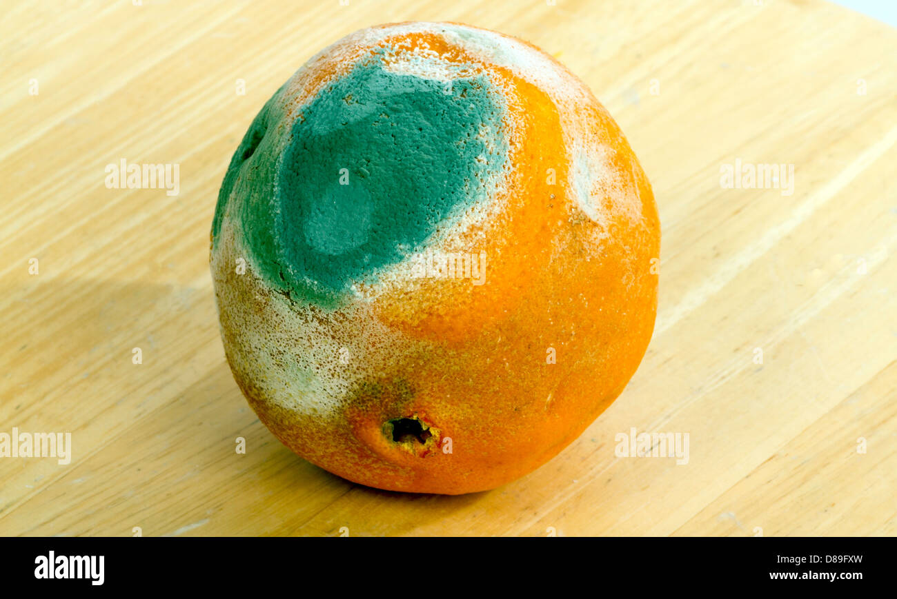 Mouldy fruit hi-res stock photography and images - Alamy