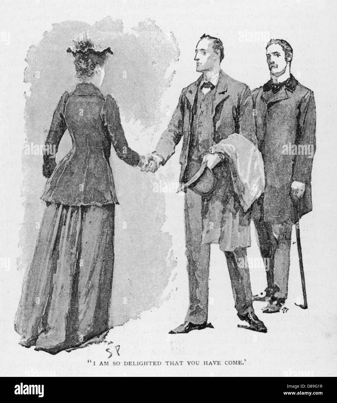 Copper beeches hi-res stock photography and images - Alamy