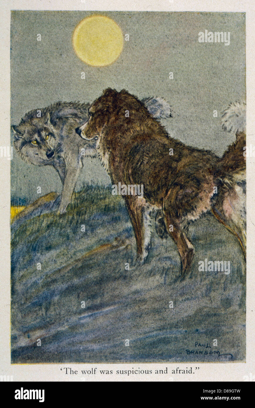 Jack London Call Of Wild Stock Photo - Alamy