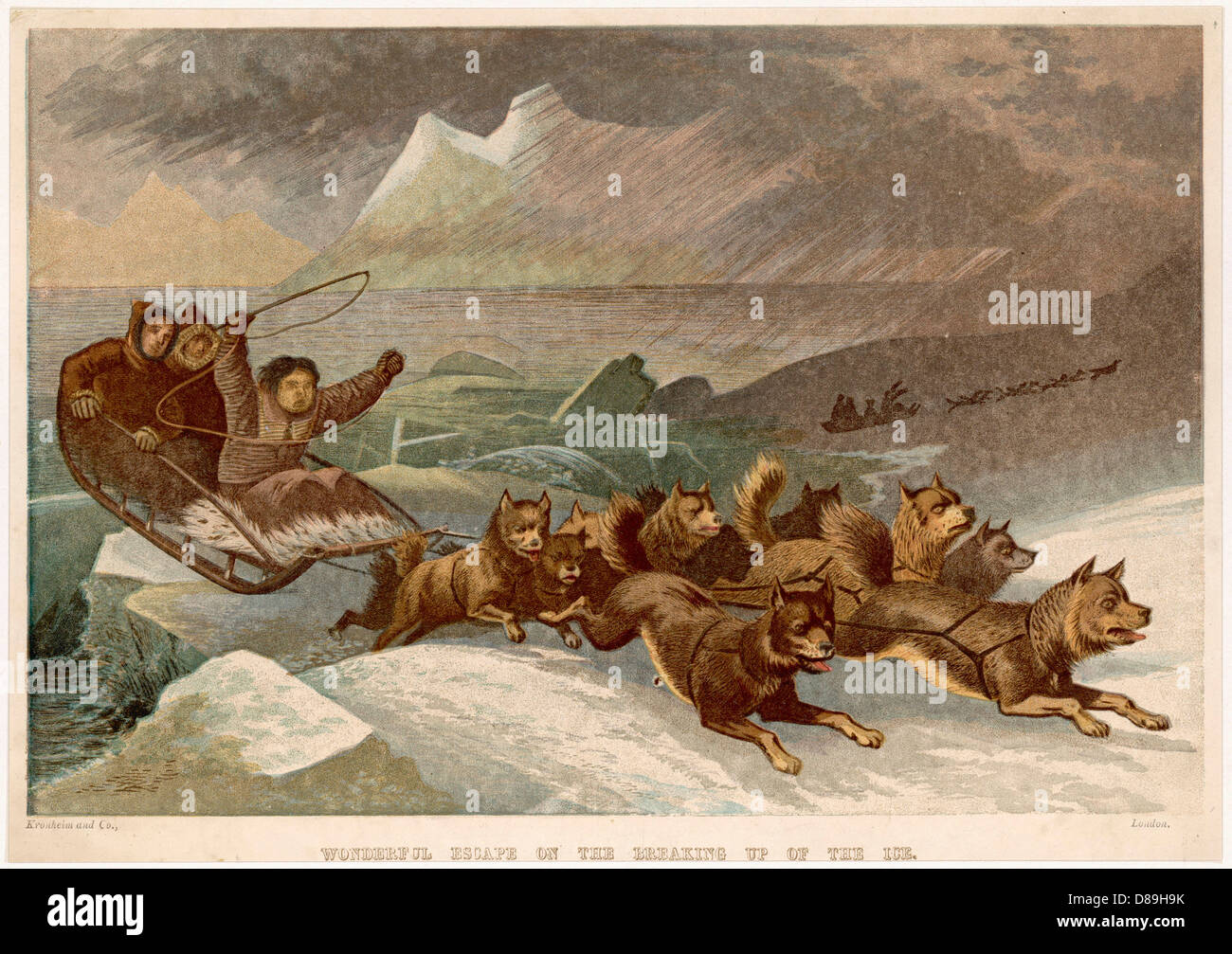 DOG SLEIGH IN ARCTIC Stock Photo - Alamy