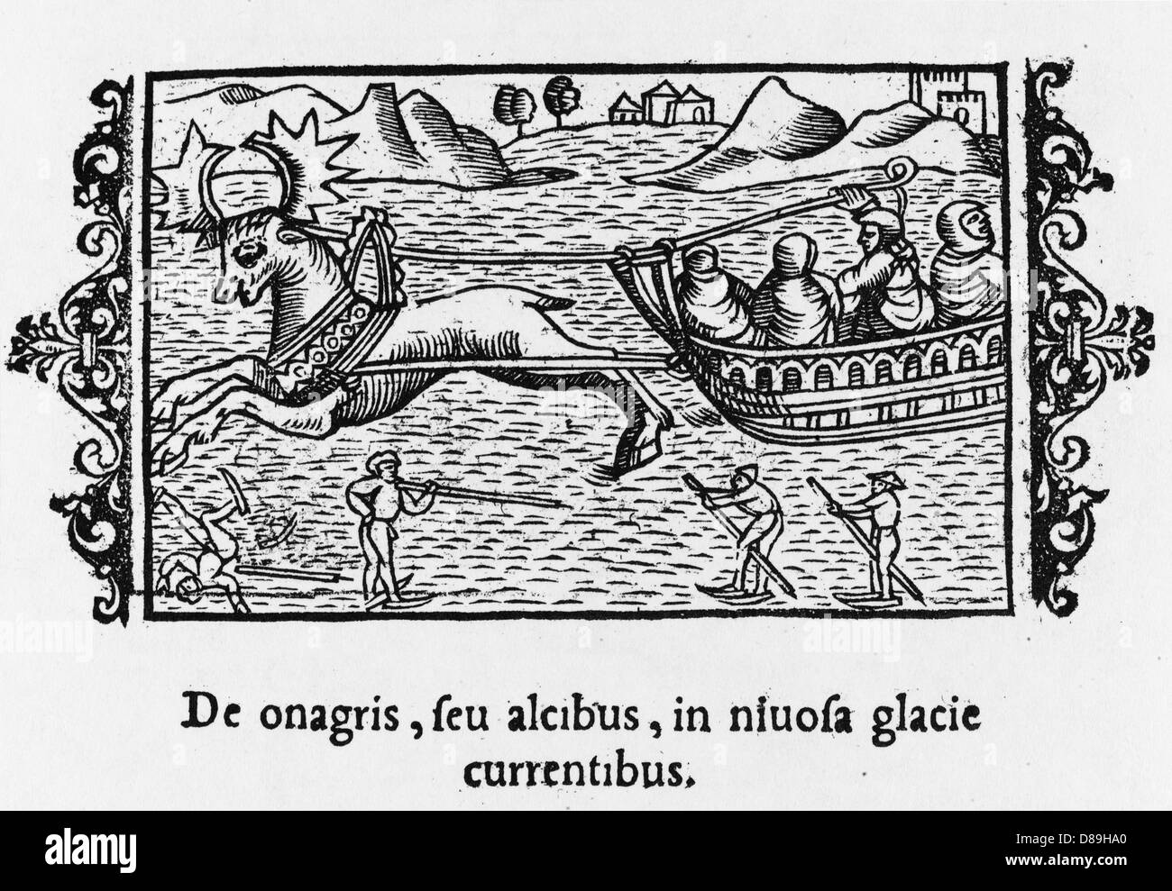 Elkdrawn hi-res stock photography and images - Alamy