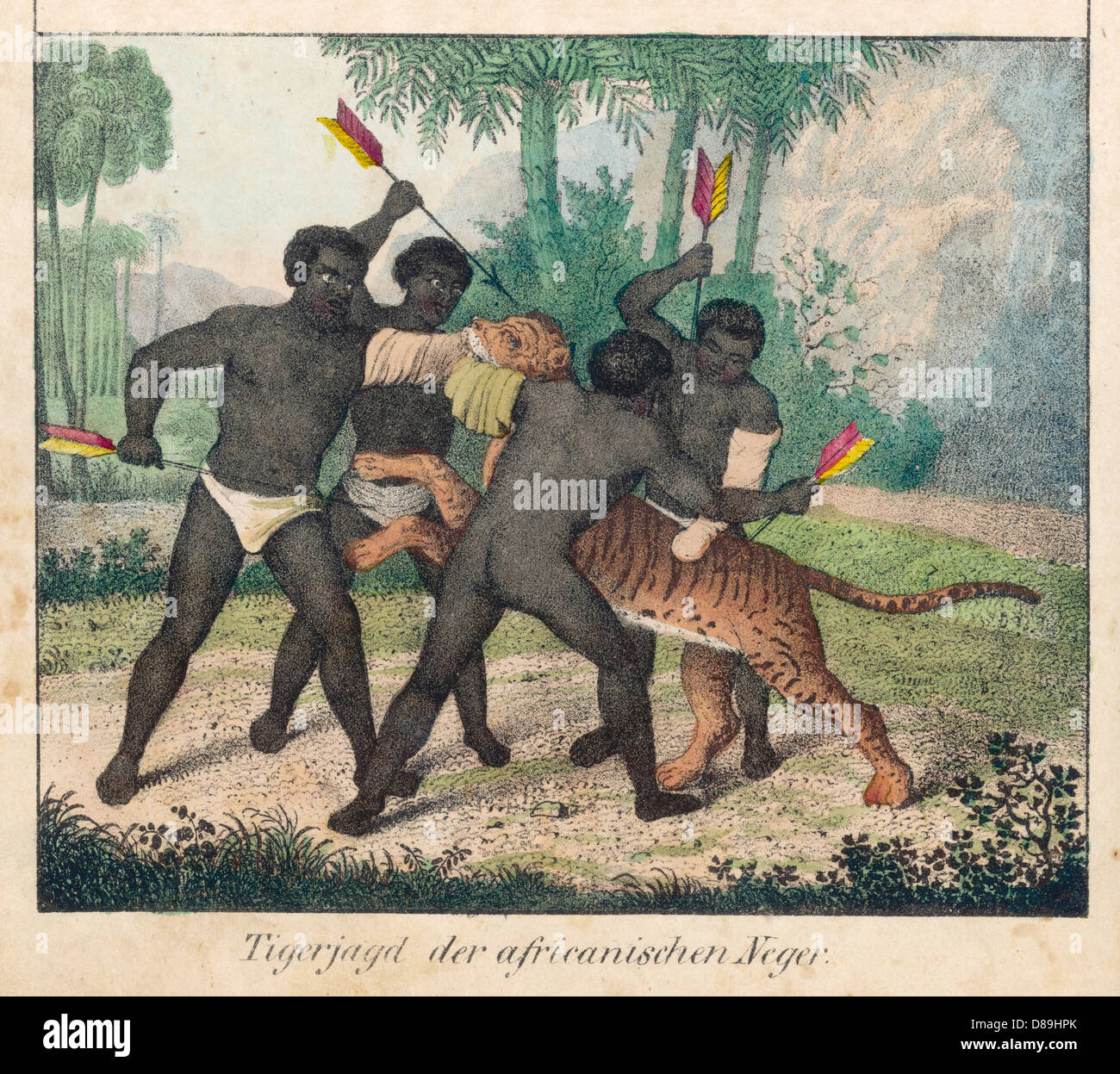 HUNTING TIGER IN AFRICA Stock Photo - Alamy