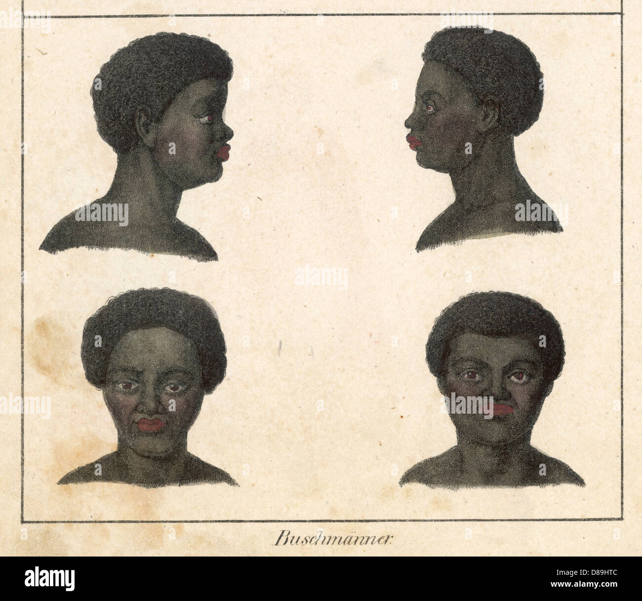 HEADS OF BUSHMEN Stock Photo - Alamy