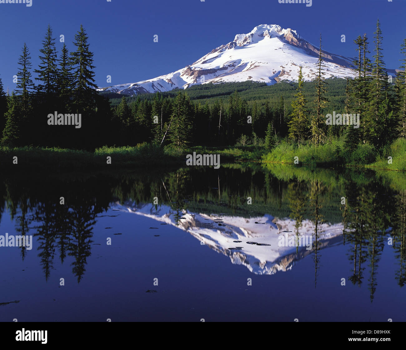 Mount hood mirror lake hi-res stock photography and images - Alamy