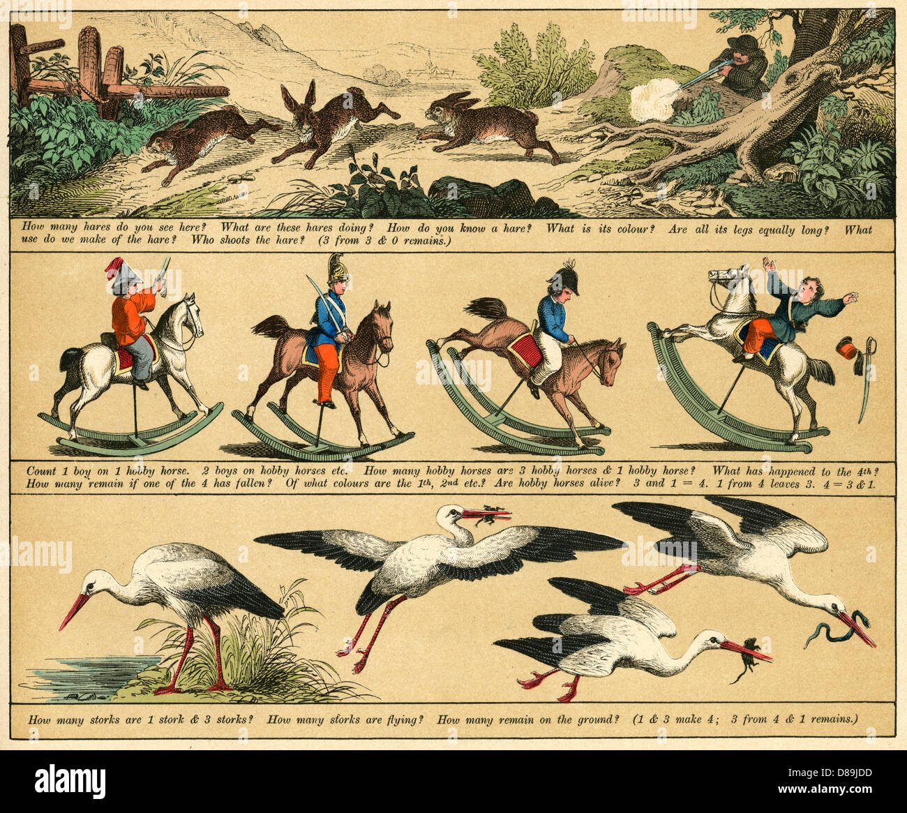 Textbook 1880 plate hi-res stock photography and images - Alamy