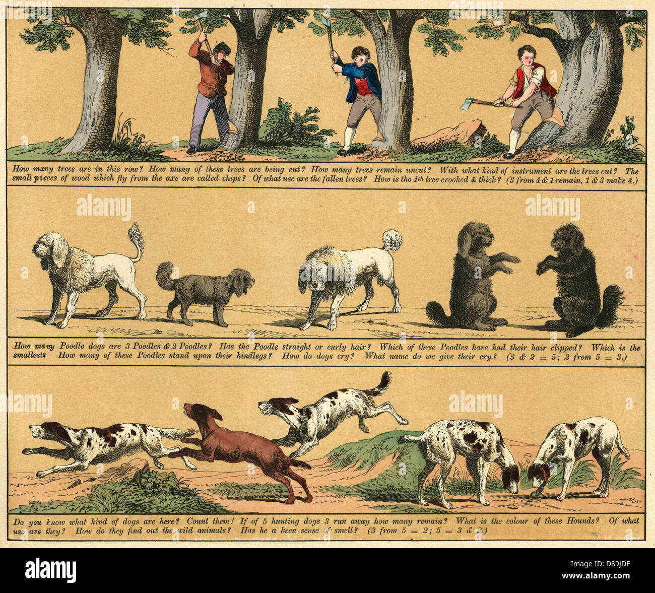 Textbook 1880 plate hi-res stock photography and images - Alamy