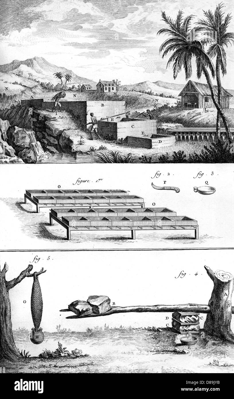 Indigo Processing - 18th century Stock Photo - Alamy