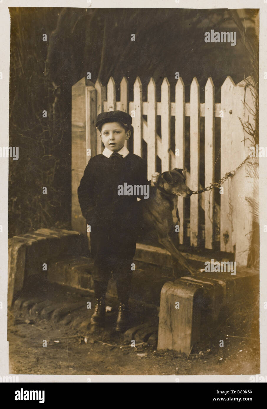 Edwardian dog hi-res stock photography and images - Alamy