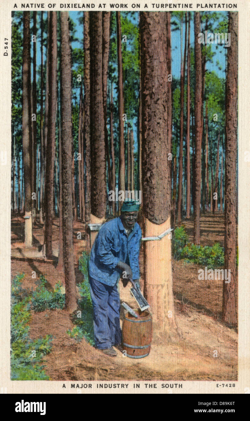 Turpentine High Resolution Stock Photography and Images - Alamy