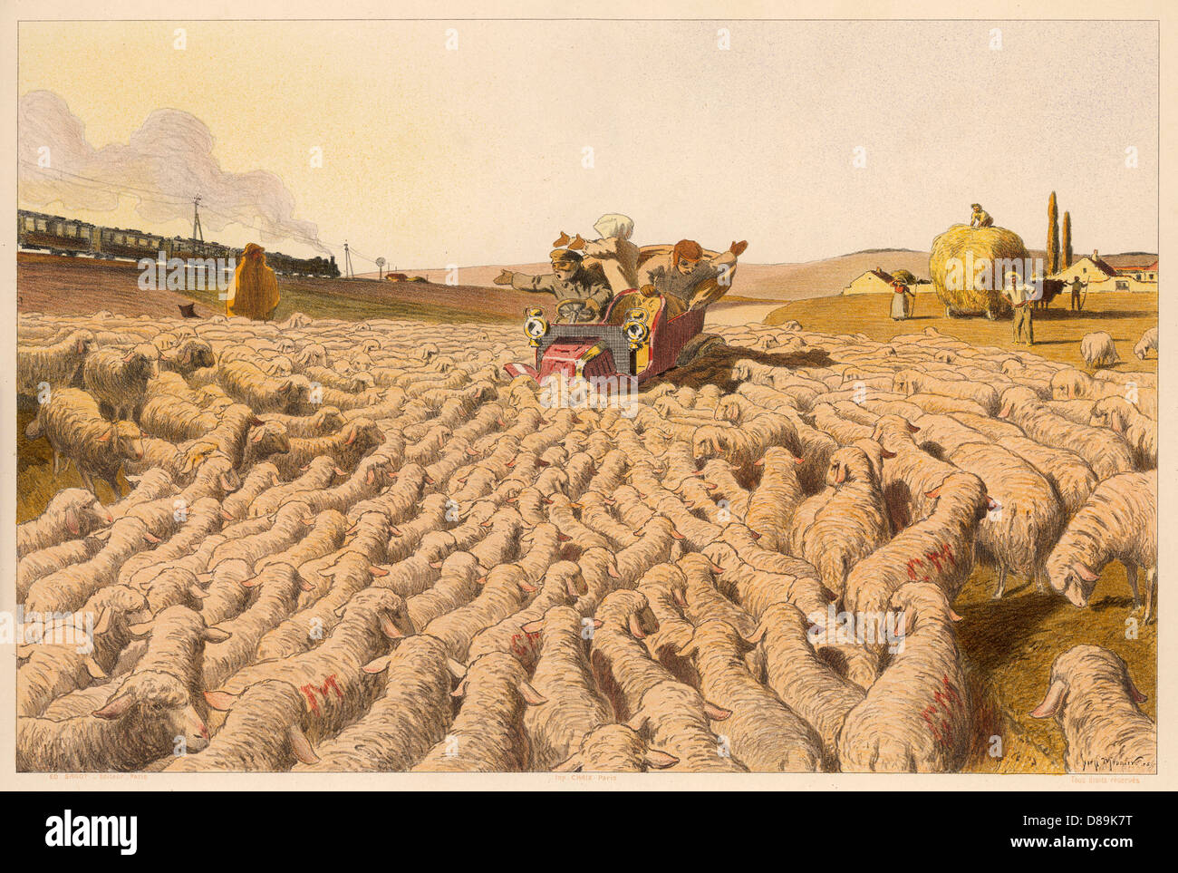 SHEEP BLOCK ROAD Stock Photo - Alamy