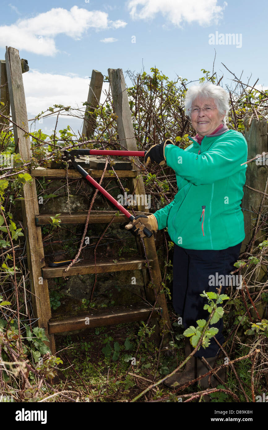 Ramblers footpath volunteer worker clearing a country path and ladder ...