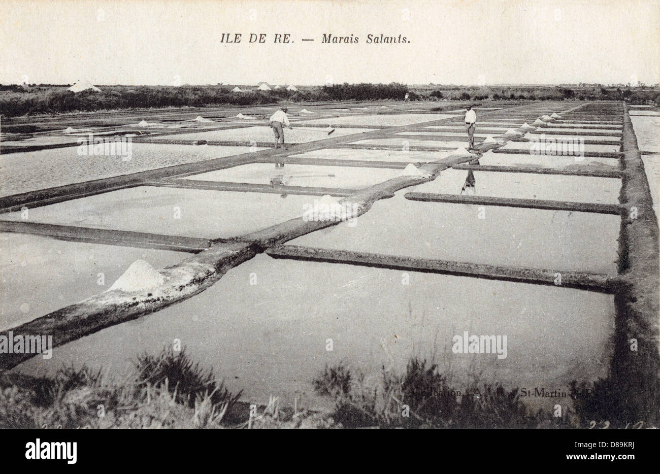 SALT ON ILE DE RE Stock Photo - Alamy