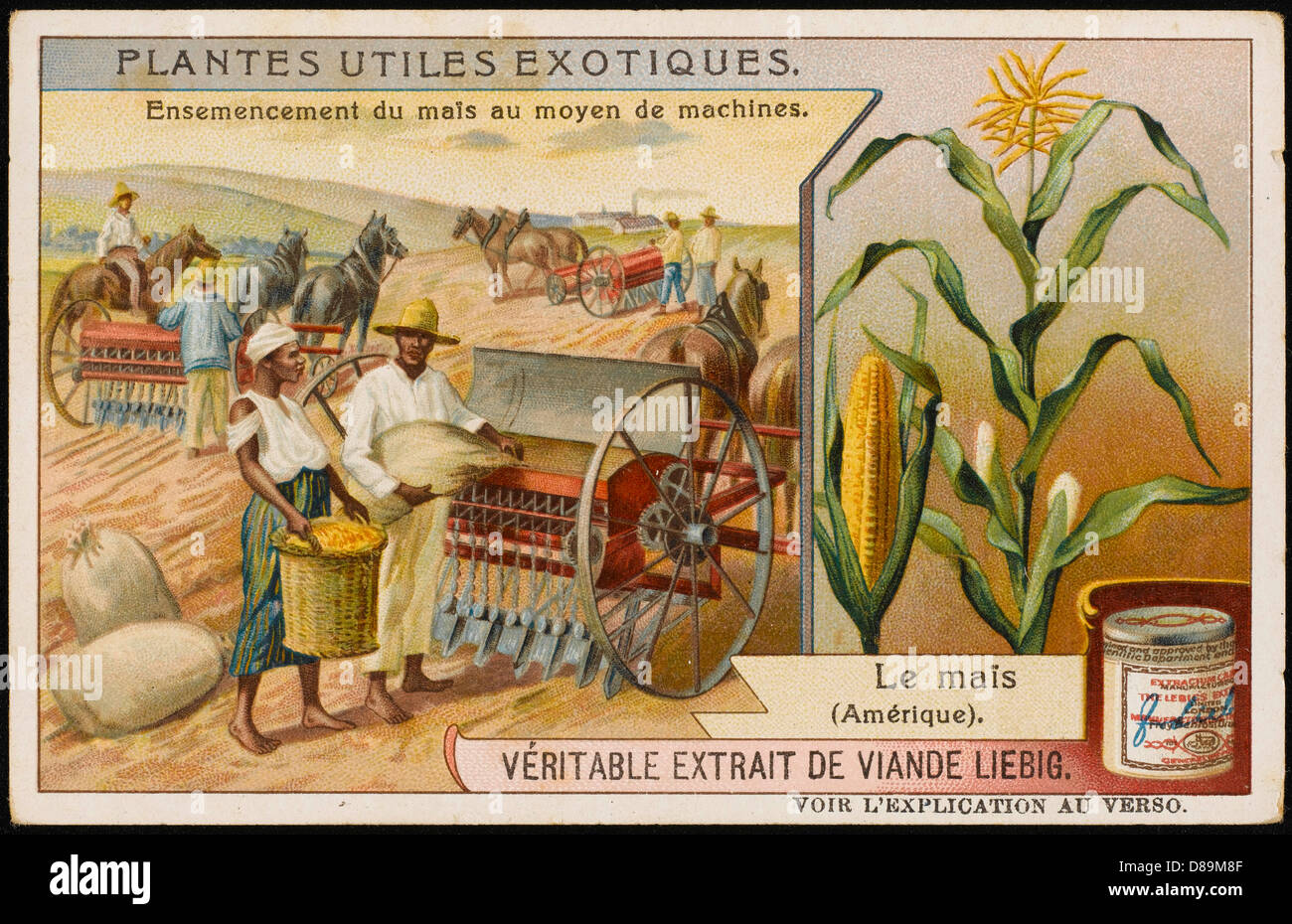 FARMING MAIZE USA Stock Photo - Alamy
