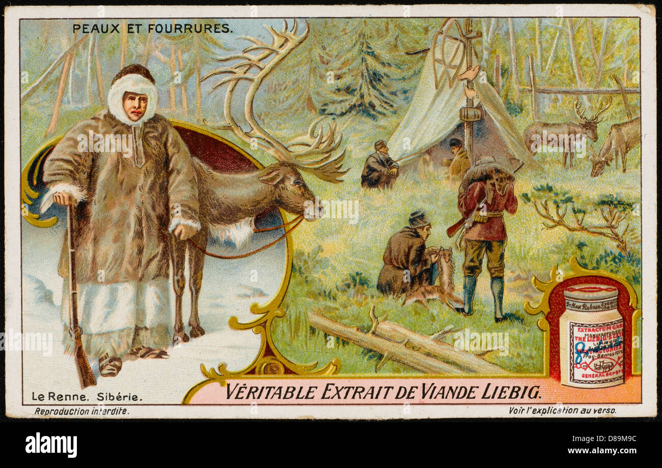 Reindeer milk hi-res stock photography and images - Alamy