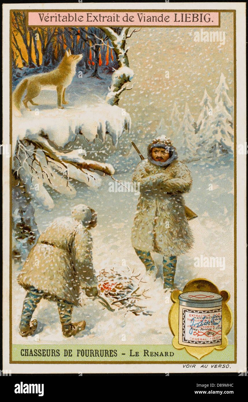 Fox costume hi-res stock photography and images - Alamy