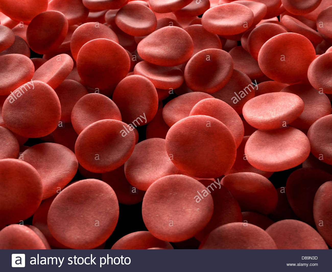 Human Blood Cells Microscopic Stock Photos & Human Blood Cells ...