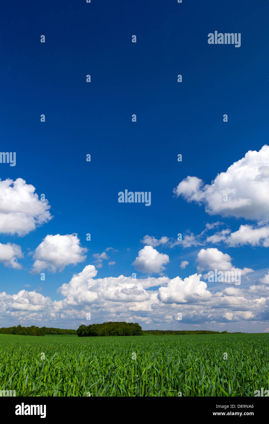 Feld felder fields getreide hi-res stock photography and images - Alamy