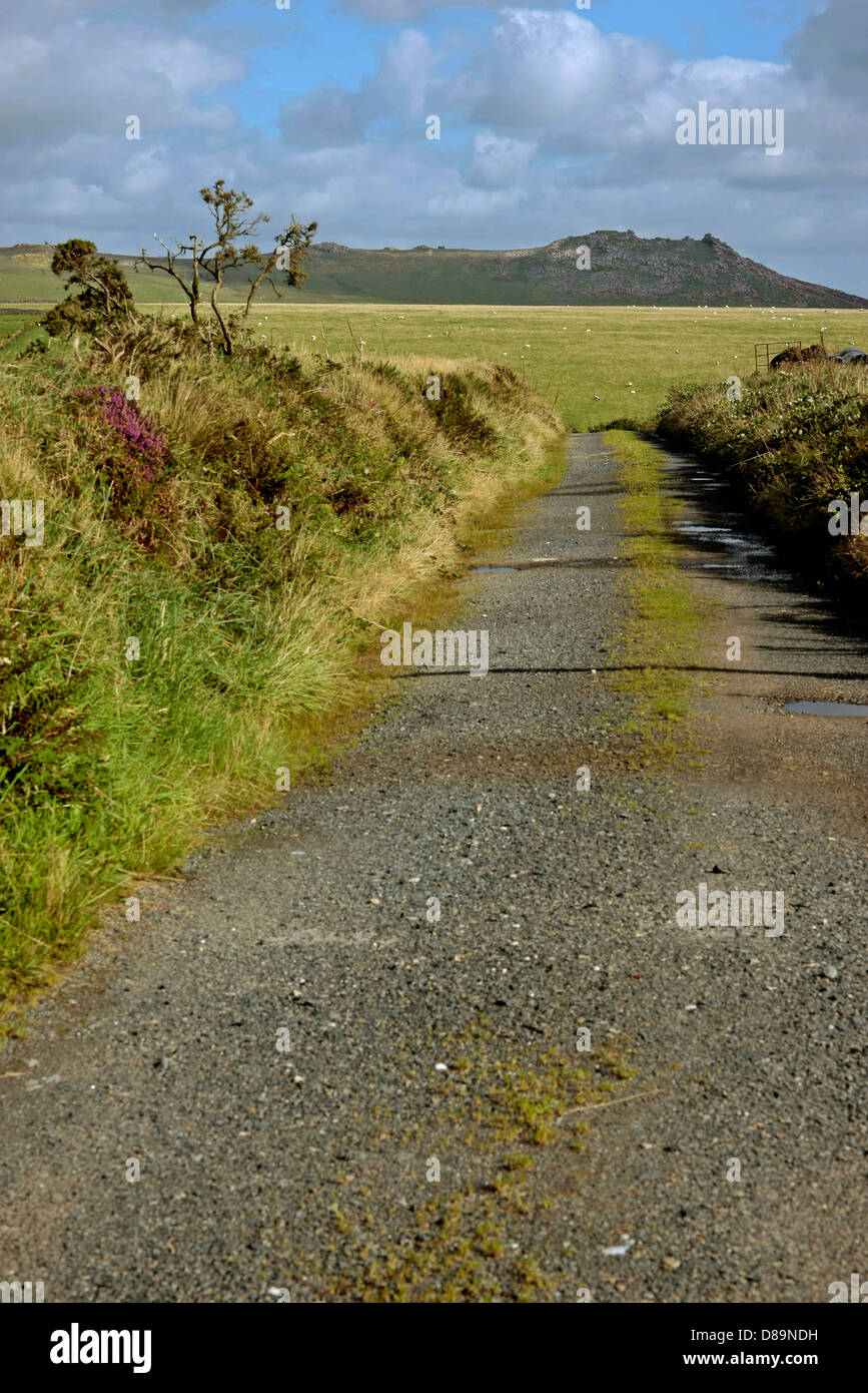 Roughtor bodmin hi-res stock photography and images - Alamy