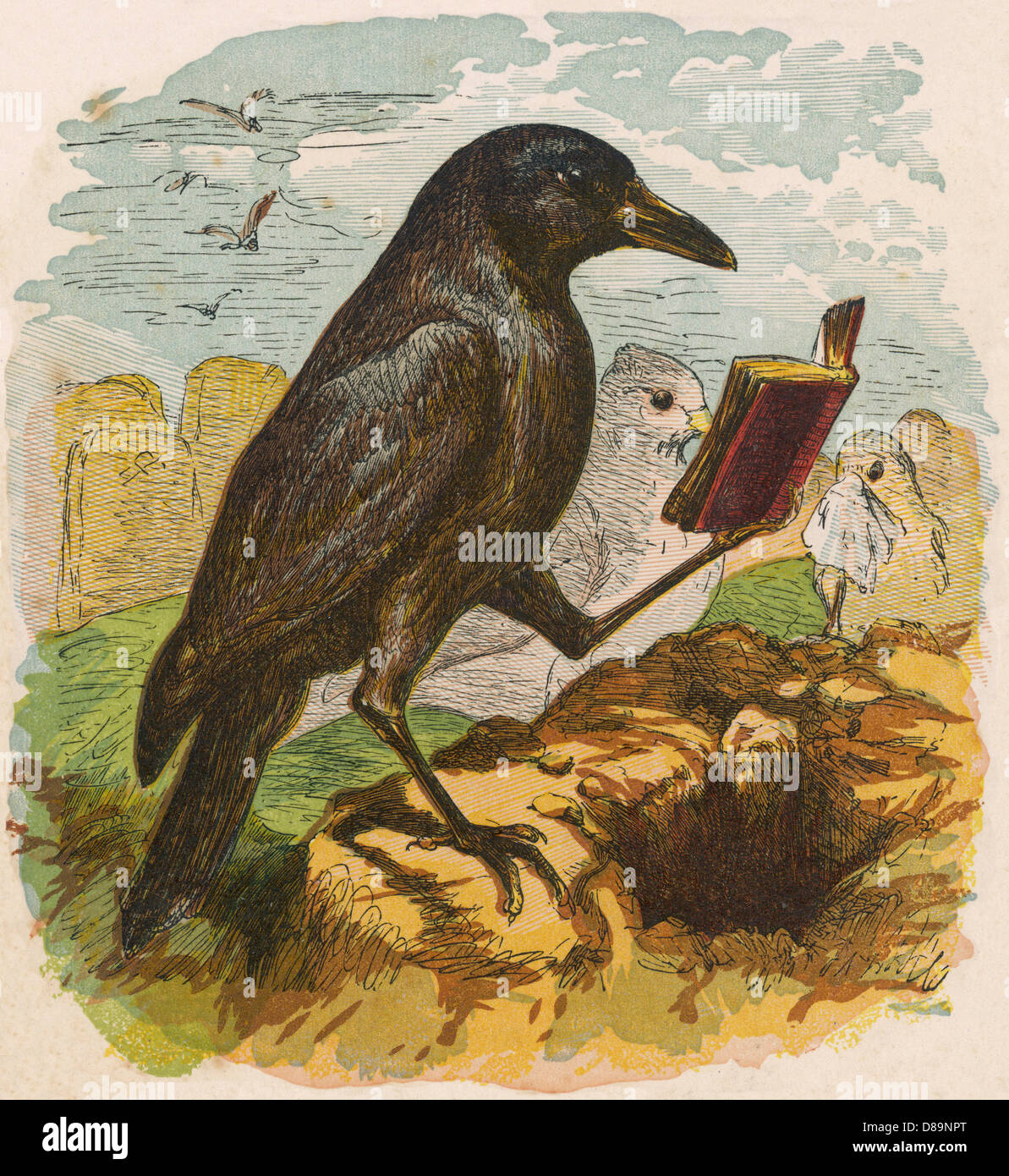 COCK ROBIN 1 Stock Photo - Alamy