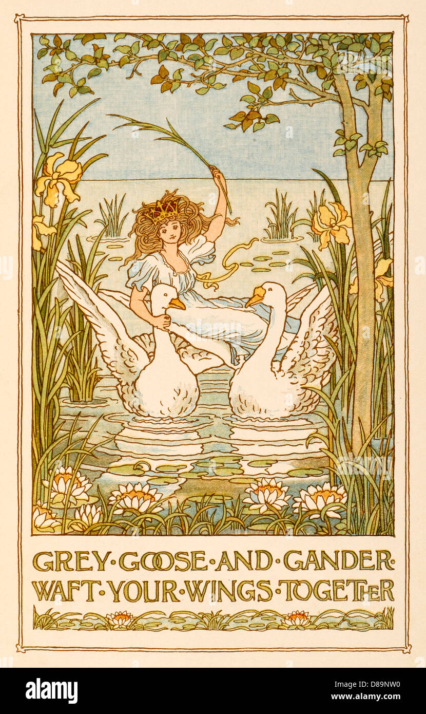 Grey Goose and Gander Stock Photo - Alamy