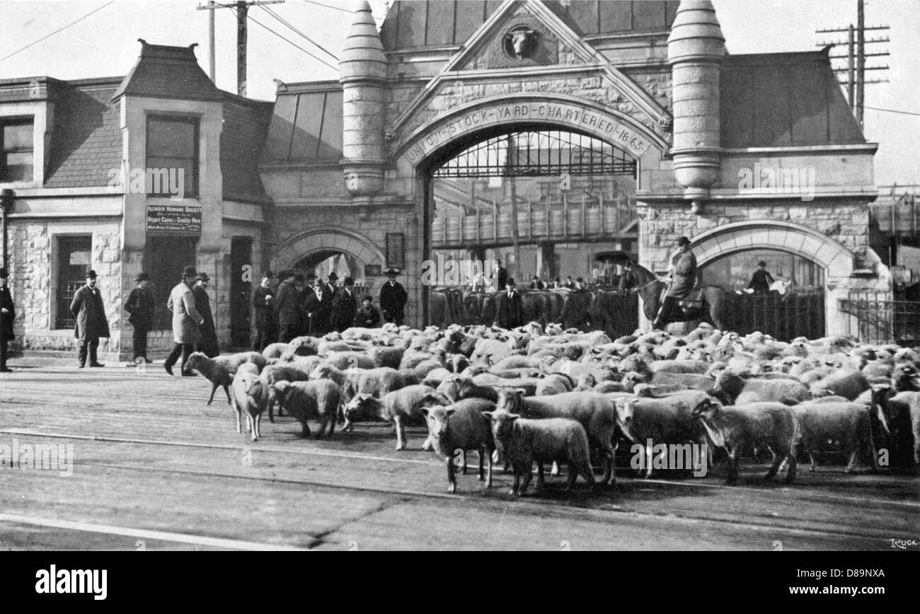 Chicago Slaughter High Resolution Stock Photography and Images - Alamy